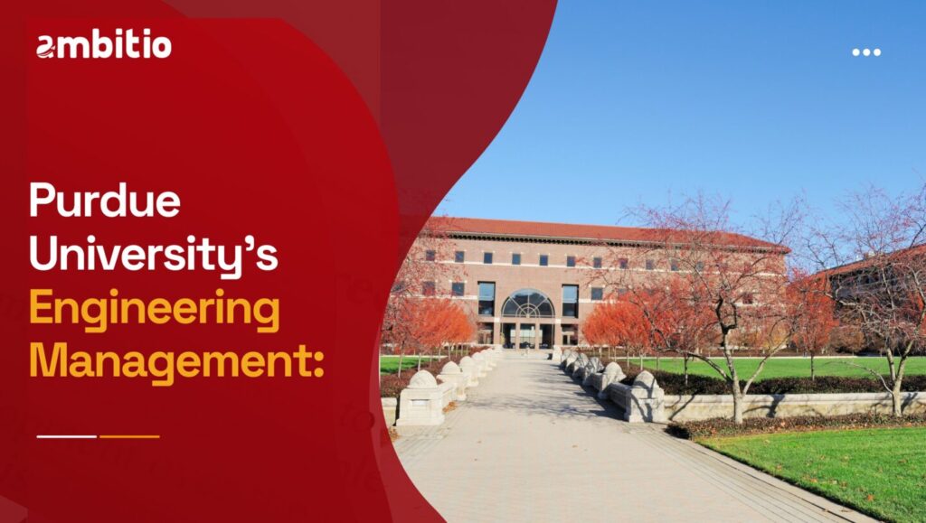 Bachelors // Ambitio