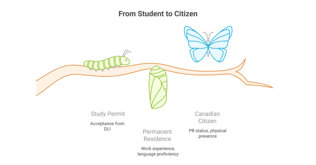 What Is The Biometric Fees For Canada Study Visa In India (Biometrics ...