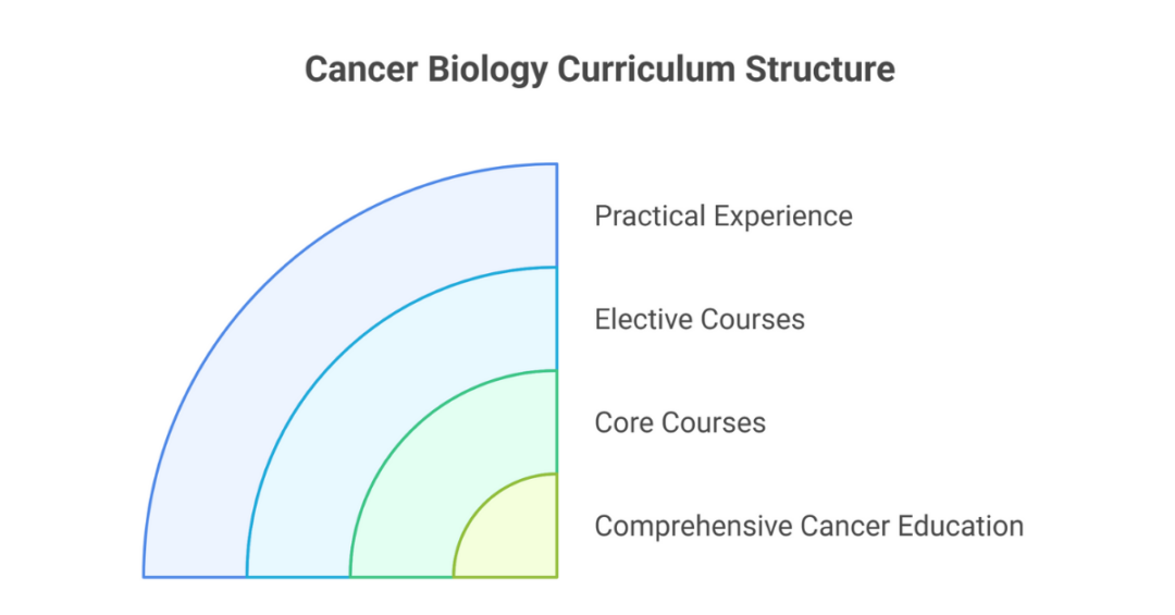 Masters In Cancer Biology In USA: Top Universities For Master Of ...