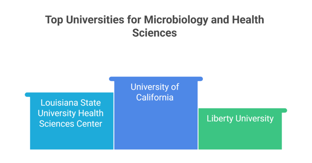 Masters In Medical Microbiology In USA For Indian And International ...