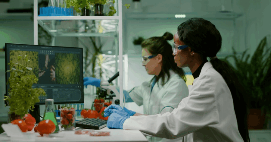 What Is An MS In Bioinformatics In USA? 2025 // Ambitio