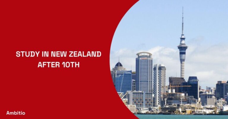 All You Need To Know About The GPA System In New Zealand