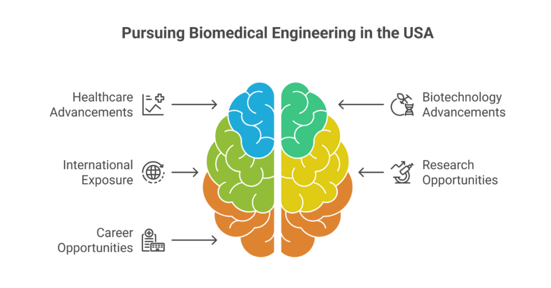 Top Biomedical Universities In USA 2025: 25 Best Colleges For The Best ...