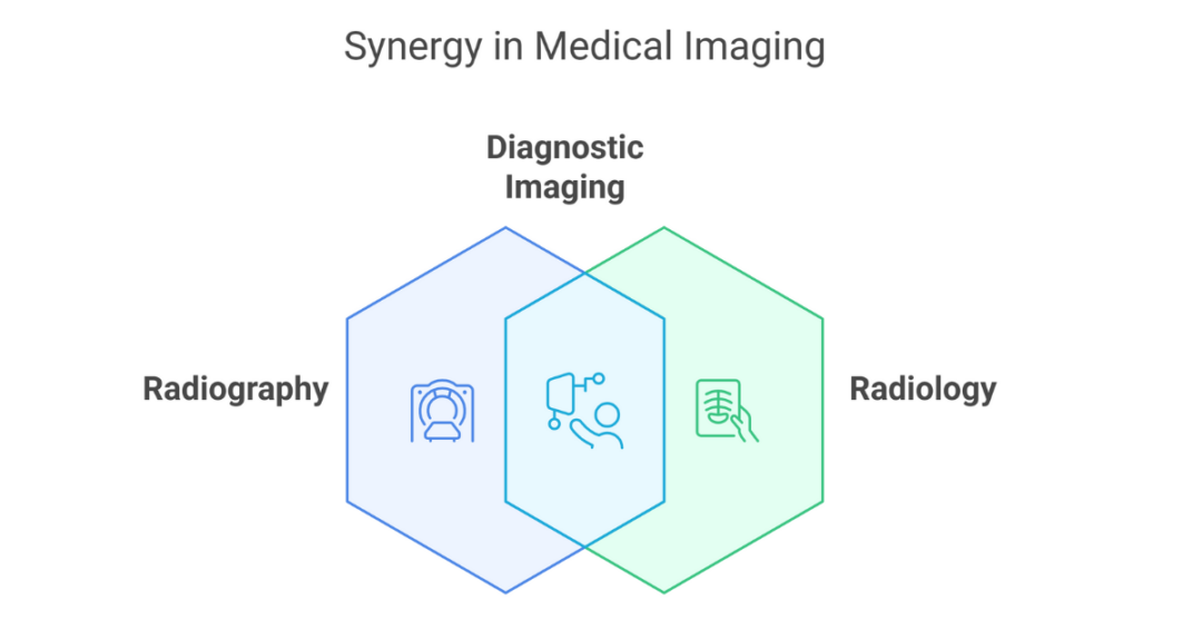 Diagnostic Radiography Personal Statement Example For Indian Students ...